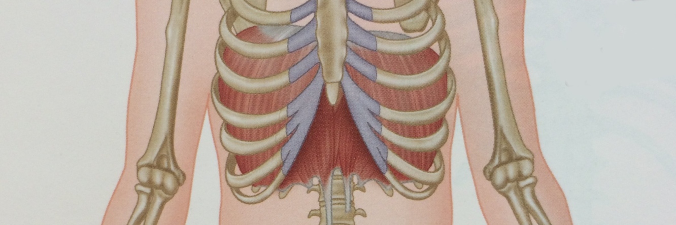 FITzáda - BUNGEE WORKOUT jako prevence bolestí zad?